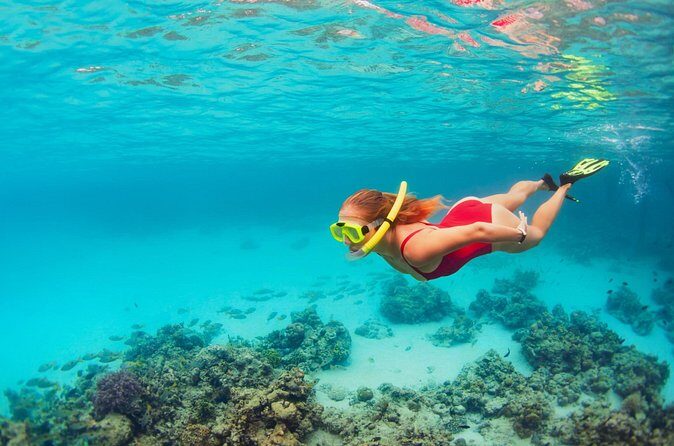 Coral Snorkeling Private Tour in Punta Cana with Seafood Lunch - Who Will Benefit Most?