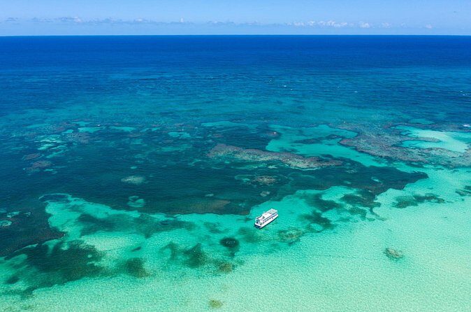 Coral Snorkeling Private Tour in Punta Cana with Seafood Lunch - The Sum Up