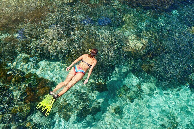 Coral Snorkeling Private Tour in Punta Cana with Seafood Lunch - FAQ