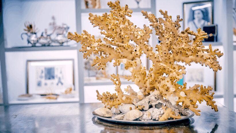 Coral workshop and visit of the museum in Sciacca - Coral Workshop and Visit of the Museum in Sciacca: A Deep Dive into Sicilian Artistry