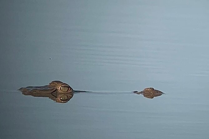 Corcovado National Park - Sirena Day Tour From Puerto Jiménez - Customer Feedback and Experiences