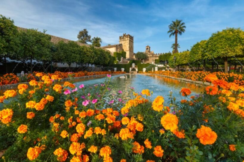 Cordoba: Alcazar of Christian Monarchs 1Hour Guided Tour - Authentic Experiences and Honest Feedback