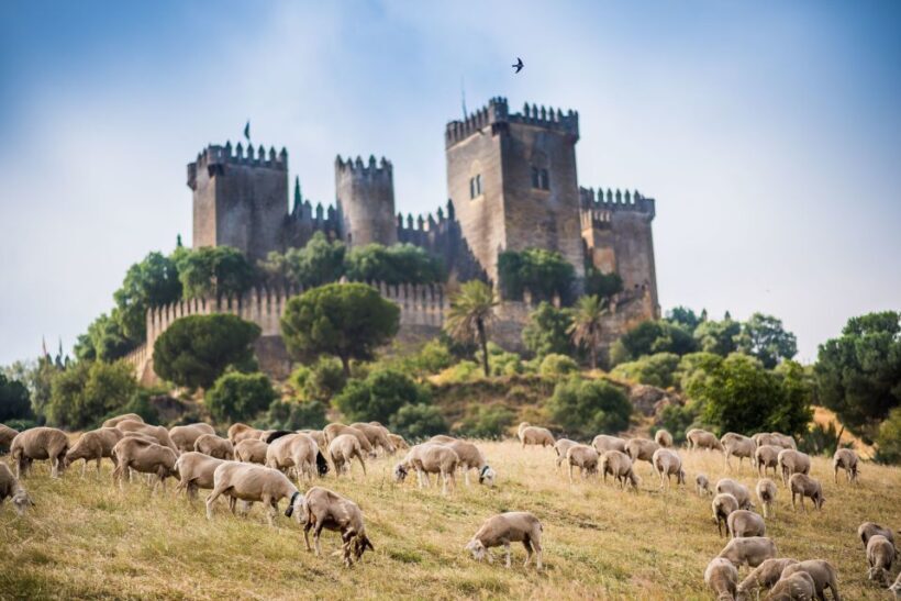 Córdoba: Almódovar Castle Entrance Ticket - The Itinerary & What to Expect