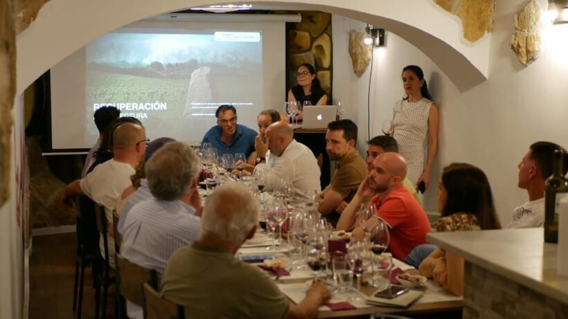 Cordoba: Blind Wine Tasting with Tapas Pairing - Final Thoughts