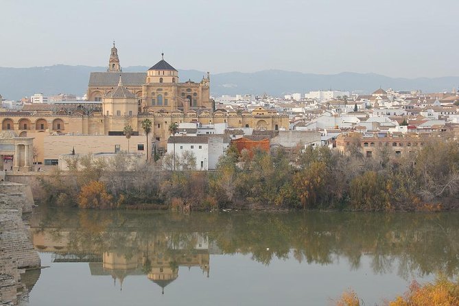 Cordoba & Carmona with Mezquita, Synagoge & Patios from Seville - The Experience: The Pros and Cons