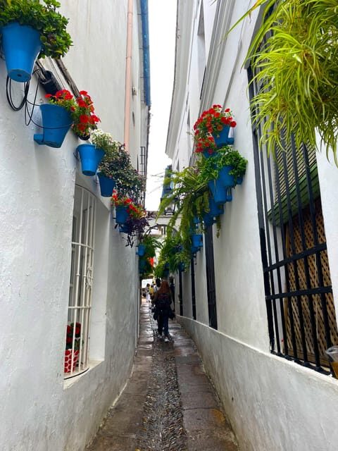 Cordoba: City Highlights Private Walking Tour - Who Will Benefit Most from This Tour?