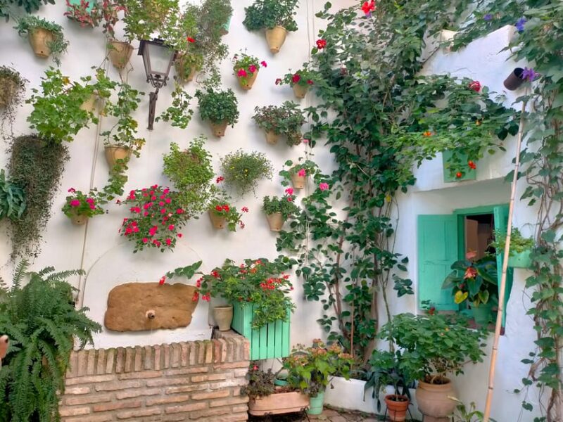 Cordoba Courtyards by Bike, Electric Bike - Discovering Cordoba’s Patios by Bike: An In-Depth Review