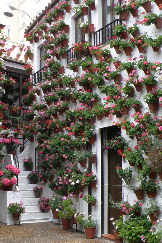 Cordoba Courtyards by Bike, Electric Bike - The Itinerary: What to Expect