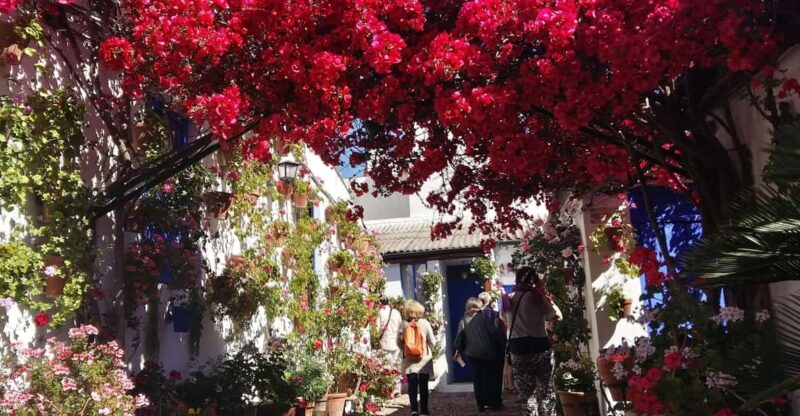 Cordoba Courtyards by Bike, Electric Bike - The Experience: What You’ll Love