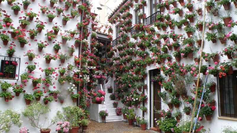 Cordoba Courtyards by Bike, Electric Bike - Who Should Consider This Tour?