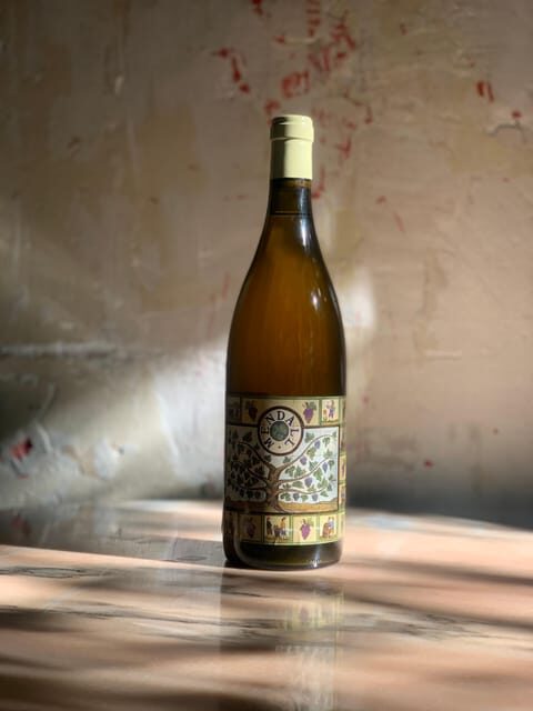 Córdoba: Discover the Soul of Spanish Natural Wine & Cuisine - Key Points