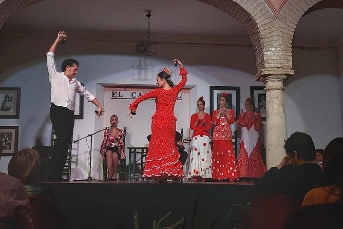Cordoba Flamenco Show at Tablao El Cardenal With a Drink - Accessibility and Transportation