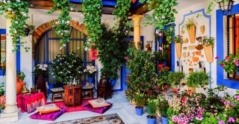 Cordoba Guided Day Trip from Seville - Analyzing the Value