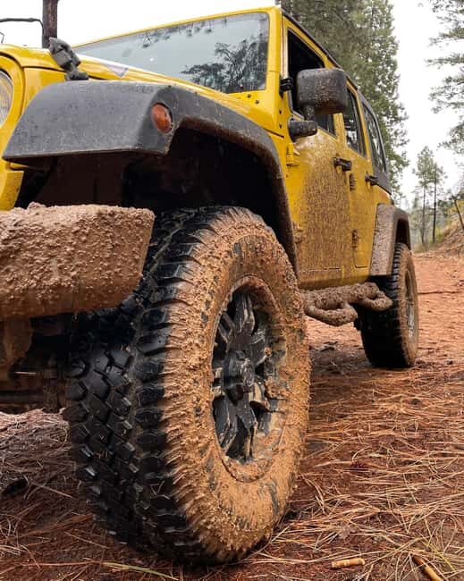 Cordoba: Guided Jeep Tour in Stanislaus National Forest - Key Points