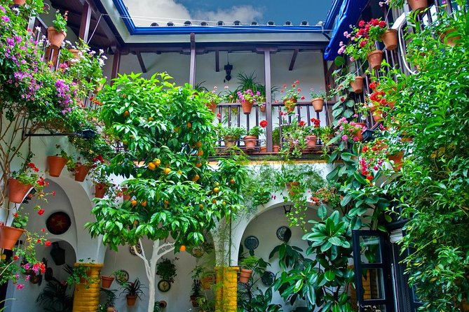 Cordoba Guided Tour With Mosque /Cathedral From Seville - Booking Information and Special Offers