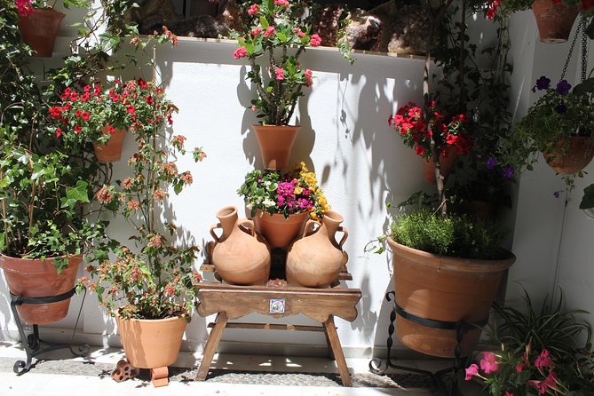 Cordoba Guided Tour With Mosque /Cathedral From Seville - Tips for a Successful Tour Experience