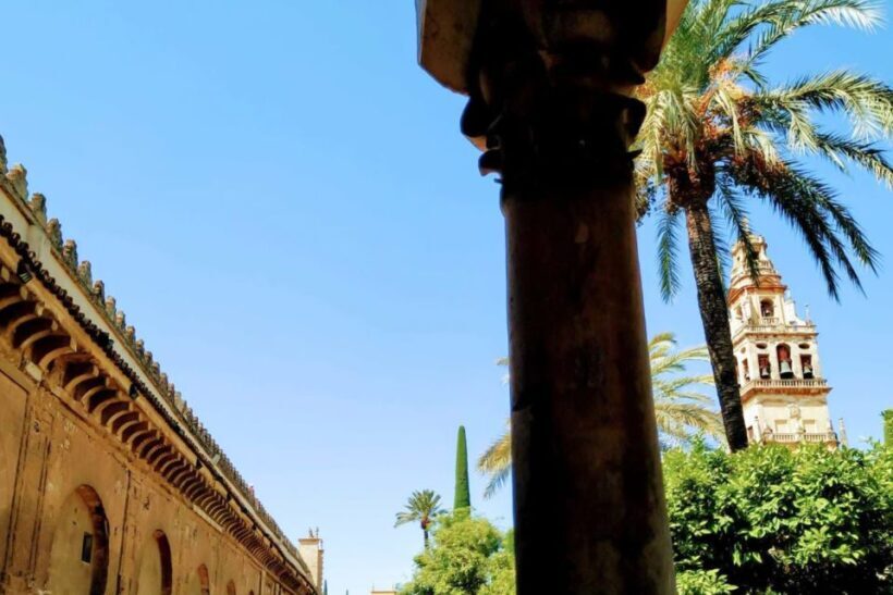 Cordoba Highlights Full-Day Tour from Granada - The Experience: What You Can Expect from the Tour