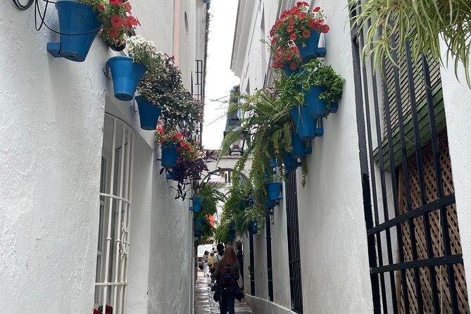 Cordoba Highlights Private Walking Tour - Exploring Córdoba on Foot: A Guide to the Highlights Private Walking Tour