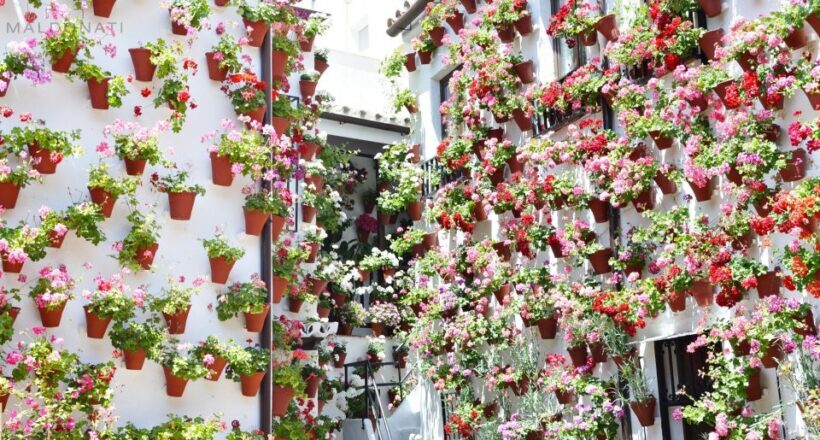 Córdoba Highlights Walking Tour - A Closer Look at the Córdoba Highlights Walking Tour