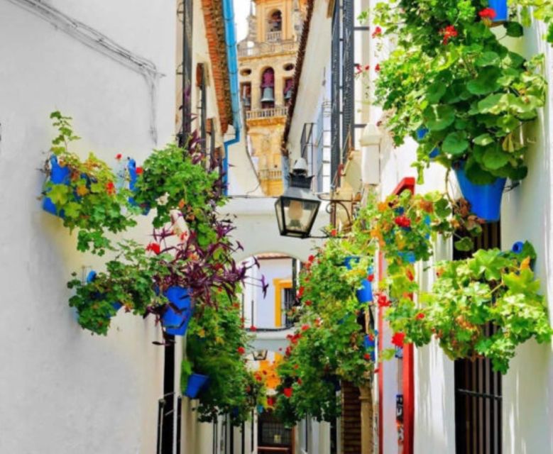 Cordoba: Historical Monuments of Cordoba City Walking Tour - Key Points