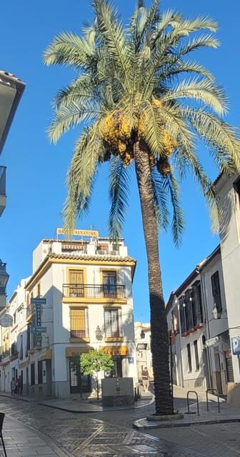 Córdoba Mid-Morning Walk - Small Groups, Native English. - Final Thoughts