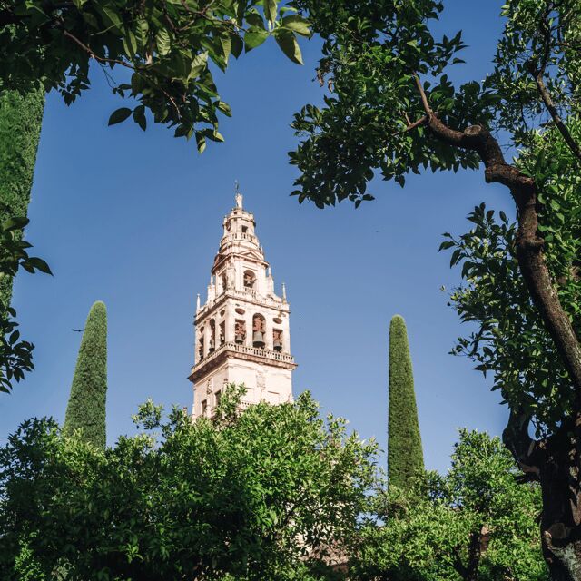Córdoba Monumental desde la Costa del sol - Final Thoughts
