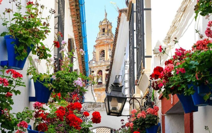 Córdoba: Mosque and Alcazar Private Tour with tickets - Why Choose This Córdoba Tour?