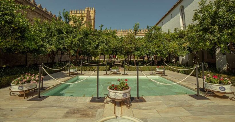 Córdoba: Mosque-Cathedral and Alcazar Tour - Key Points