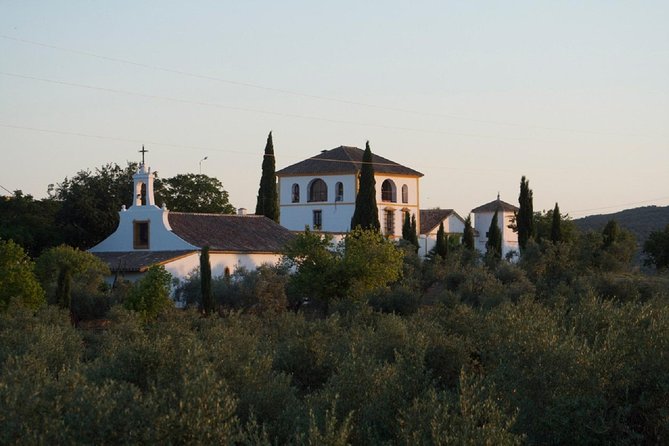 Cordoba Olive Oil mill, Wine, Passion - What You’ll Experience: A Closer Look at the Itinerary