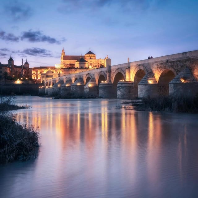 Córdoba: One-Day Trip - Discover local History and Culture - The Itinerary in Detail