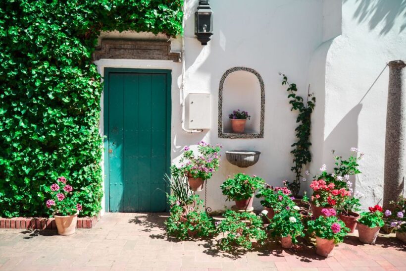 Cordoba: Patios and Viana Palace Tour - Why This Tour Stands Out