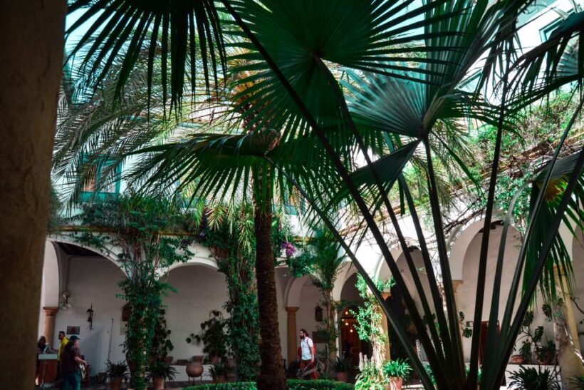 Cordoba: Patios and Viana Palace Tour - FAQ
