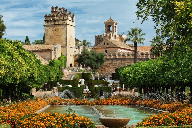 Cordoba Private Custom Walking Tour With A Guide (Private Tour) - Real Traveler Feedback and Insights