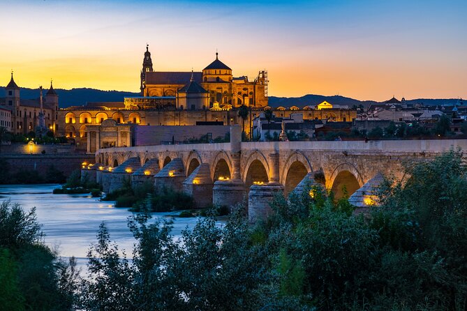 Cordoba Private Daytrip from Sevilla by Train - Who Is This Tour Best For?