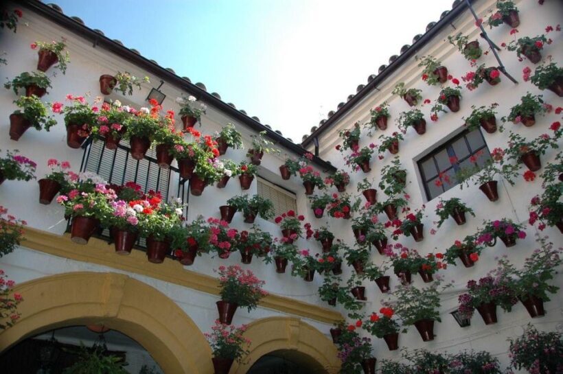 Cordoba Private Guided Walking Tour - The Sum Up
