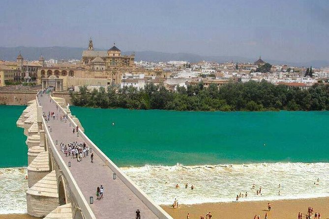 Cordoba private tour from Seville including the great Mosque for up to 8 persons - The Itinerary in Detail