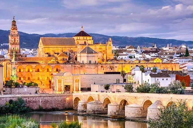 Cordoba private tour from Seville including the great Mosque for up to 8 persons - The Sum Up: Who Should Consider This Tour?