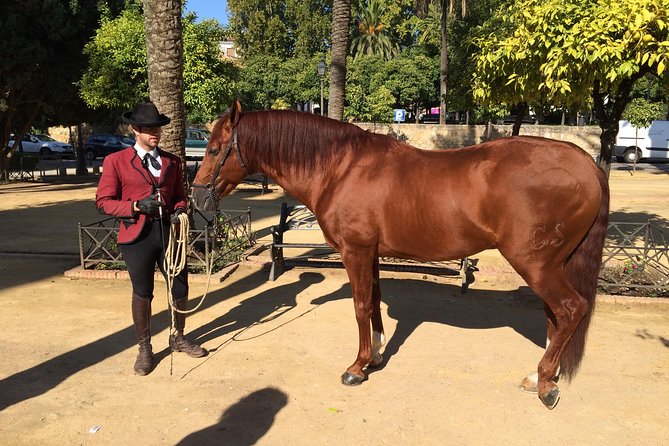 Cordoba Private Tour With Mosque Entrance From Seville - Exploring the UNESCO World Heritage Sites