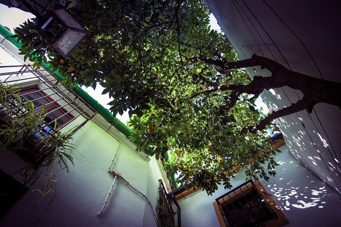 Córdoba Rooftop and Terraces Experience - Authentic Experiences and What Travelers Say