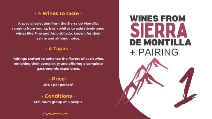 Córdoba: Sierra de Montilla Wine Tasting and Pairing - An Authentic Slice of Andalusia’s Wine Heritage