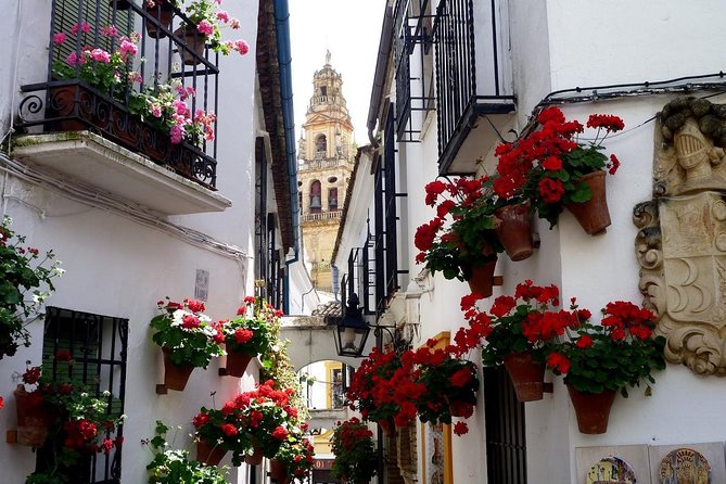 Cordoba & & the Mosque Small-Group Day Tour From Seville - Traveler Reviews and Experiences