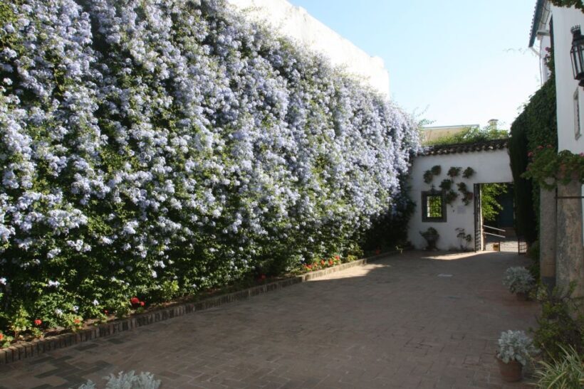 Córdoba: Viana Palace Gardens and Patios Entry Ticket - Practical Tips for Visiting