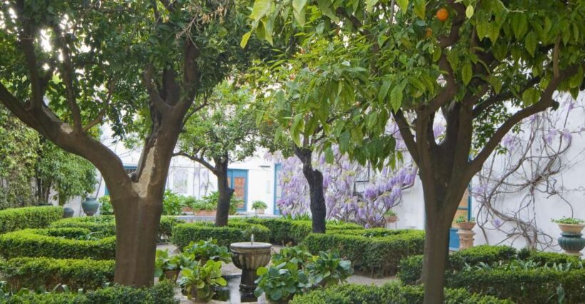 Córdoba: Viana Palace Gardens and Patios Entry Ticket - Final Thoughts