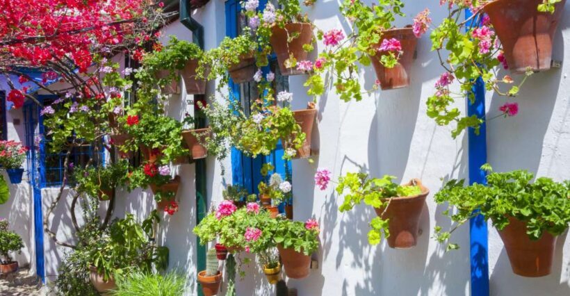 Cordoba's Authentic Patios: 2-Hour Tour with Tickets - What This Tour Offers: A Closer Look