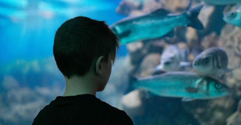 Corfu: Aquarium Entry Ticket with Guided Tour - Price and Value