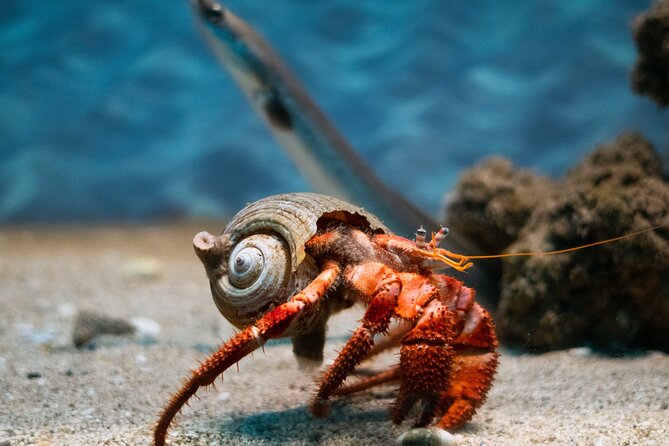 Corfu Aquarium Ticket With Tour Included - Tour Logistics