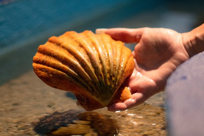 Corfu Aquarium Ticket With Tour Included - Accessibility Information