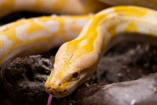 Corfu Aquarium Ticket With Tour Included - Exploring the Corfu Aquarium on Your Own