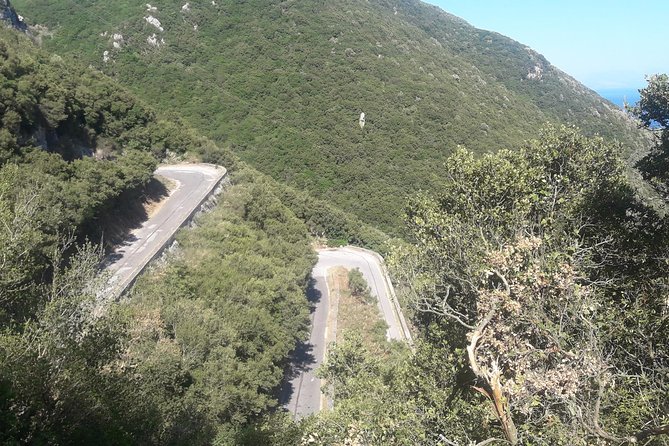 Corfu by Bike: Countryside, Forests and Villages - Positive Feedback From Satisfied Travelers