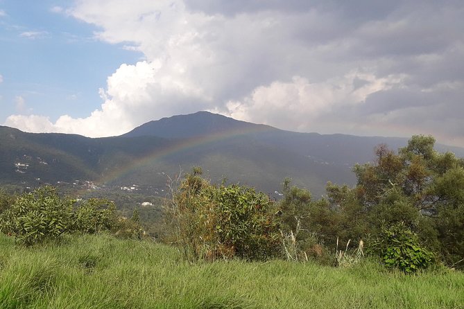 Corfu Countryside Hiking Tour - Difficulty and Fitness Level